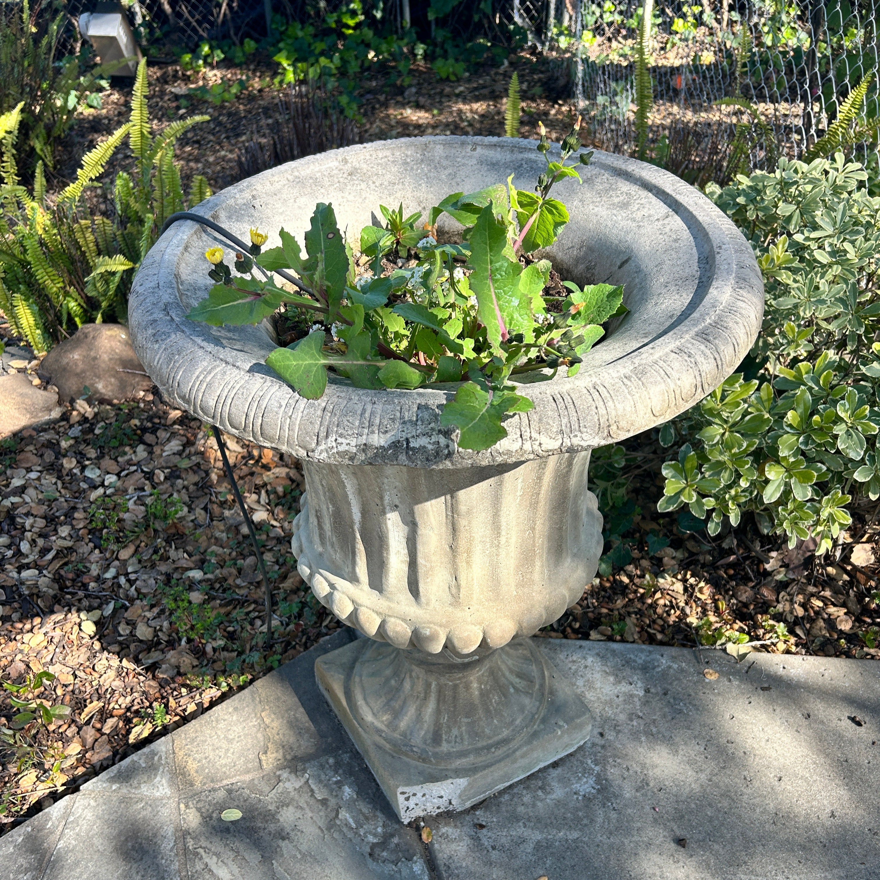 Fluted Planter – GreenLynx